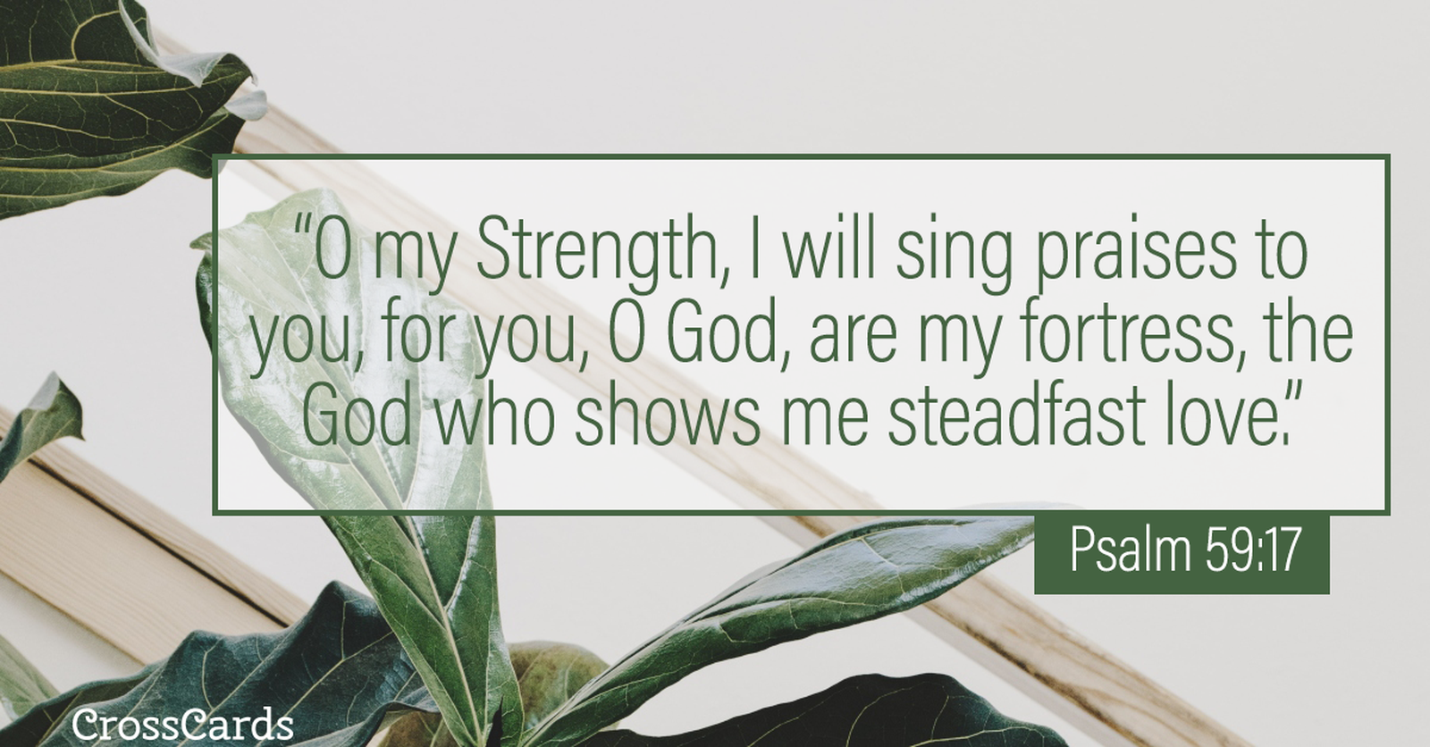 Psalm 59 NIV Bible Deliver Me From My Enemies O God Be My Fortress Psalm 59 NIV Bible Deliver Me From My Enemies O God Be My Fortress