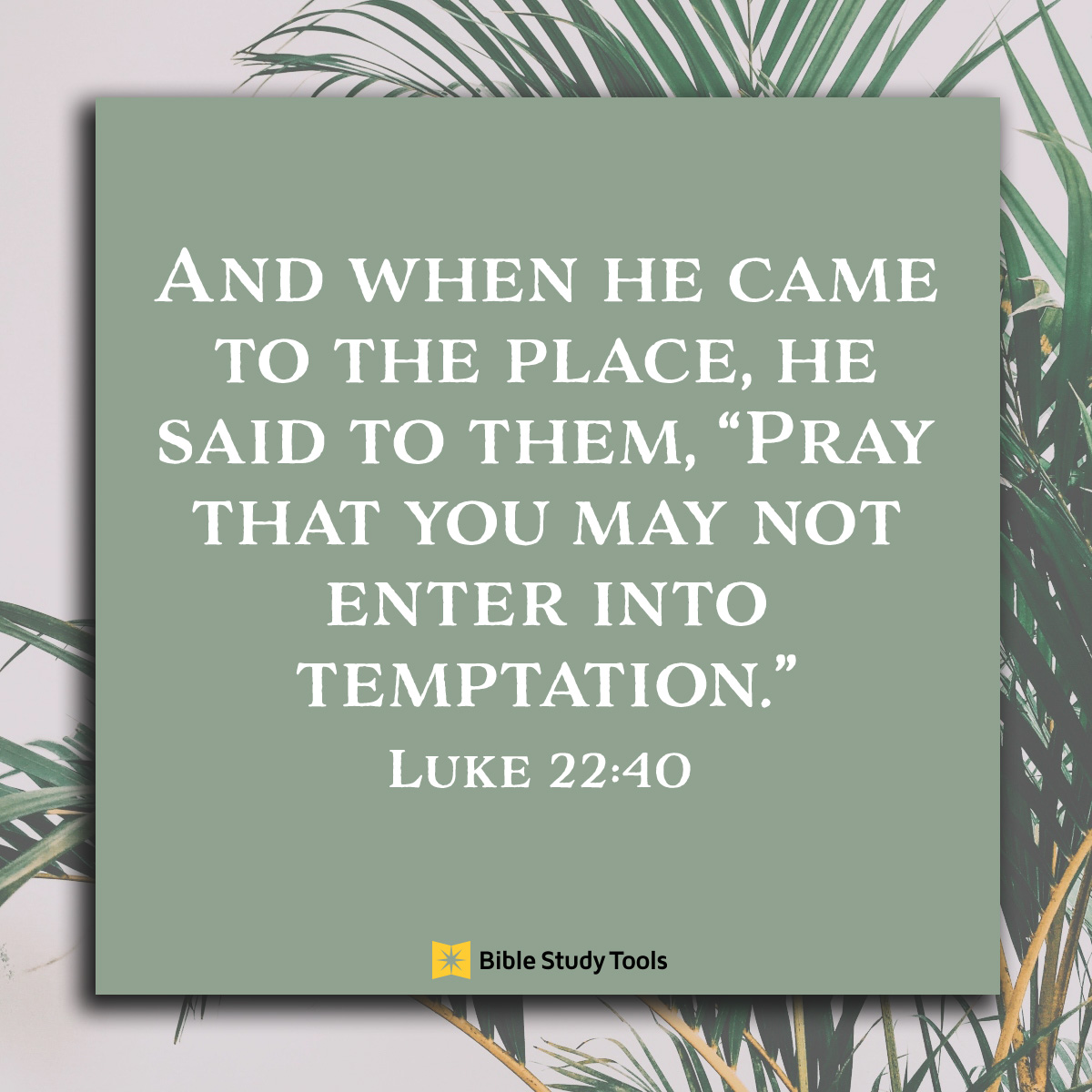 The Key To Fighting Temptation Luke 22 40 Your Daily Bible Verse