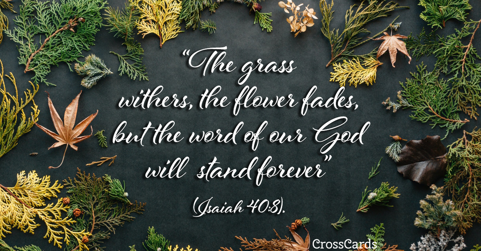 Your Daily Verse Isaiah 40 8 Your Daily Verse Isaiah 40 8