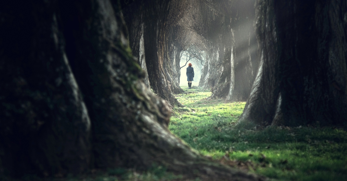 What Do Pantheists Really Believe about God? | Christianity.com