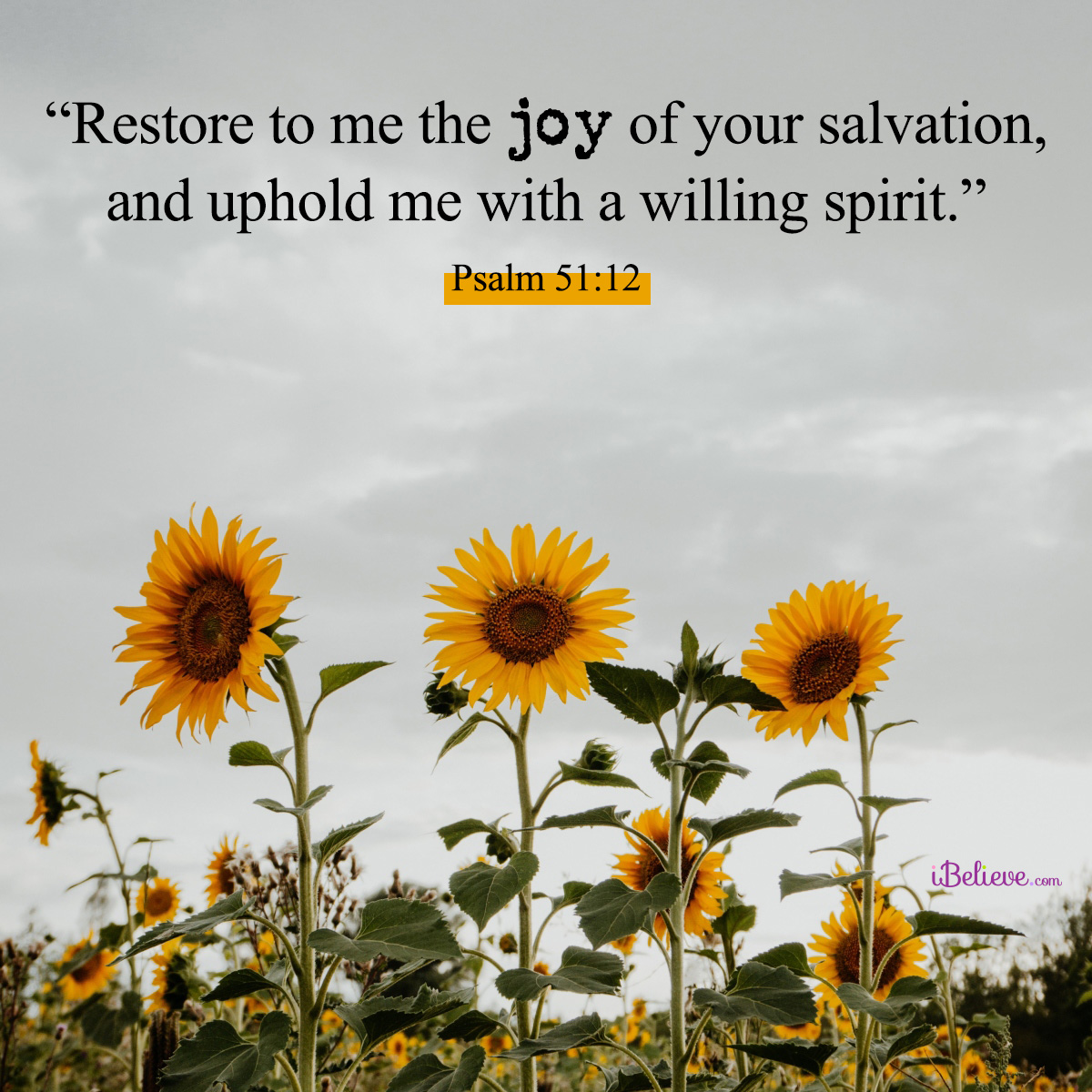 A Prayer For Restored Faith Your Daily Prayer June 12 Your Daily