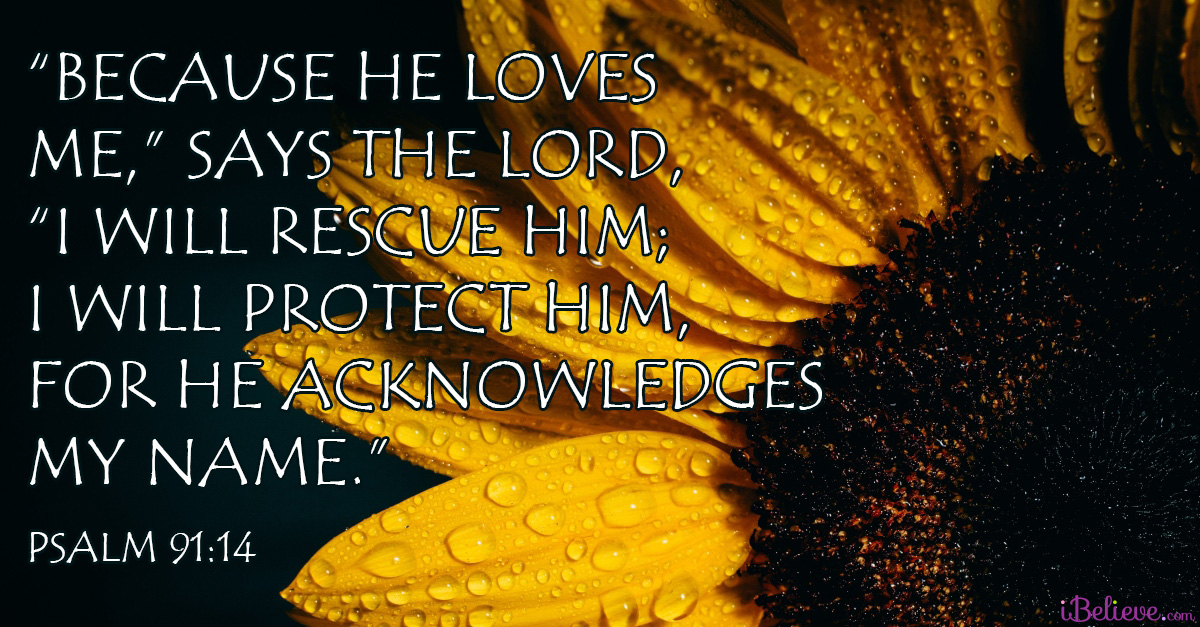 Verse Of The Day Daily Bible Scripture Verse Of The Day Daily Bible Scripture