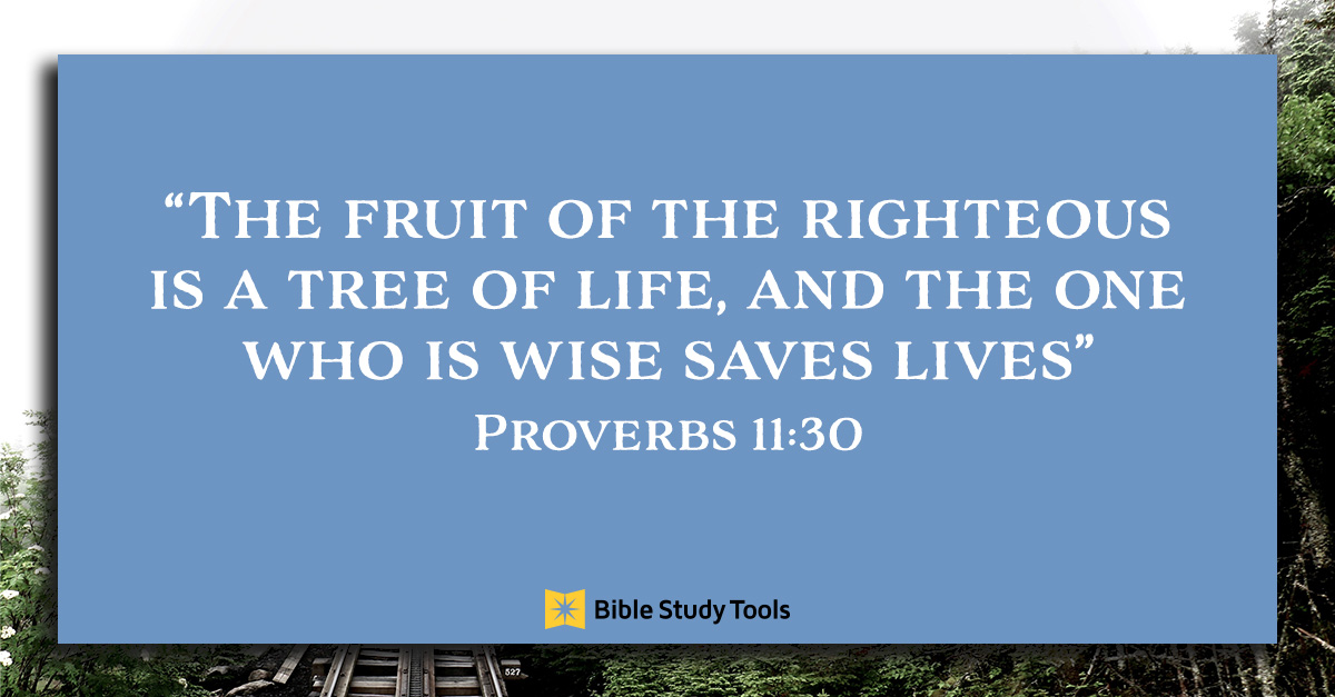 Bible Inverse