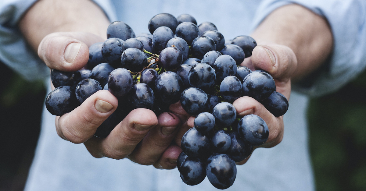 What Does 'New Wine in Old Wineskins' Mean? | Bible Study Tools