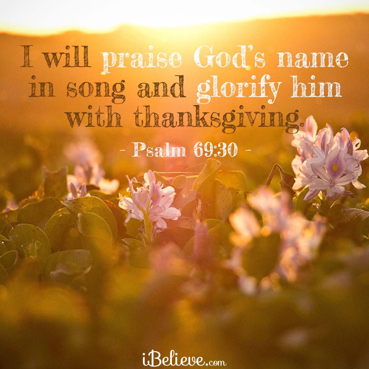 A Prayer Of Praise And Gratitude Your Daily Prayer February 21