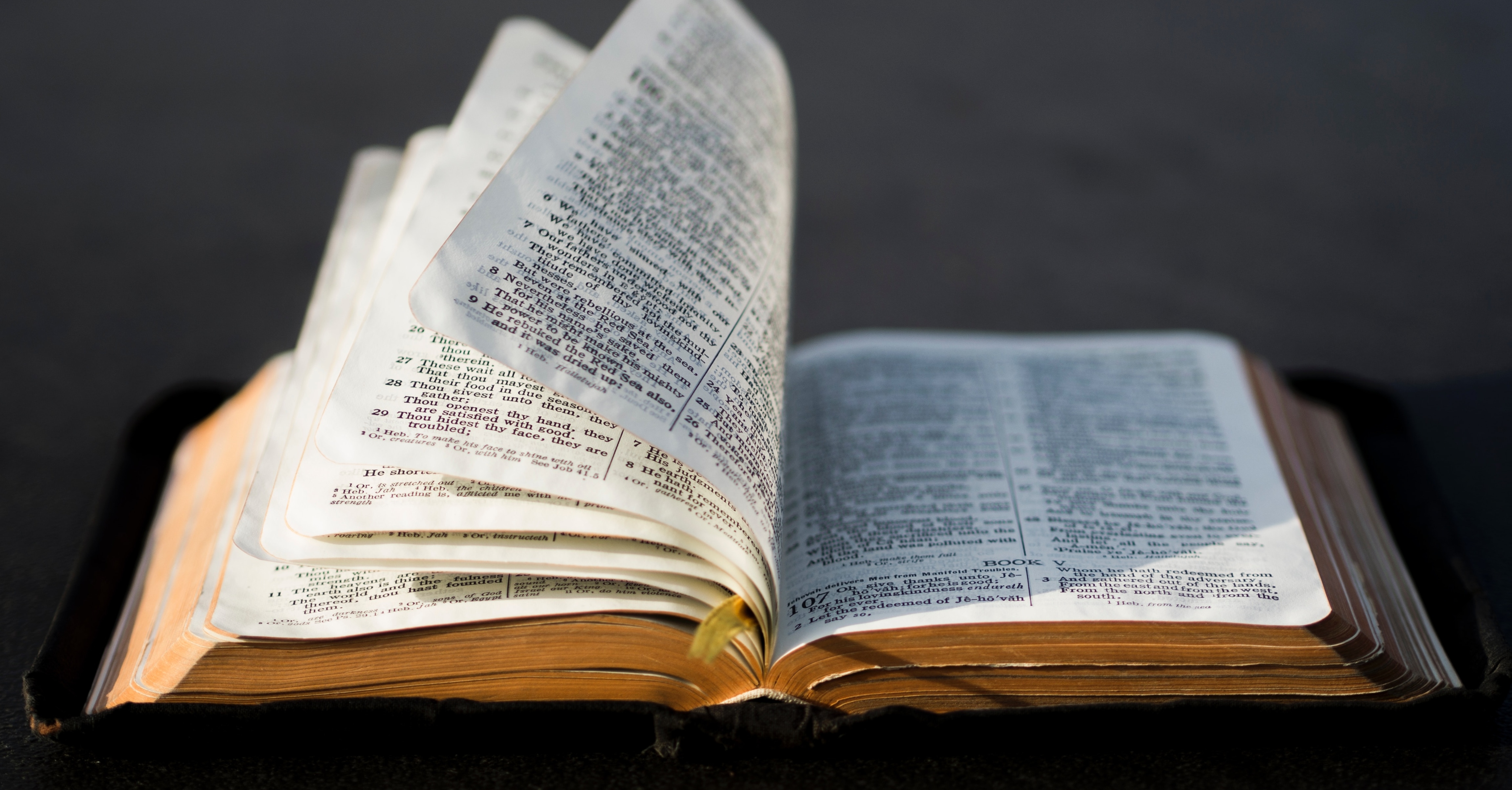 7 Crucial Reasons We Need To Remember God s Word Topical Studies