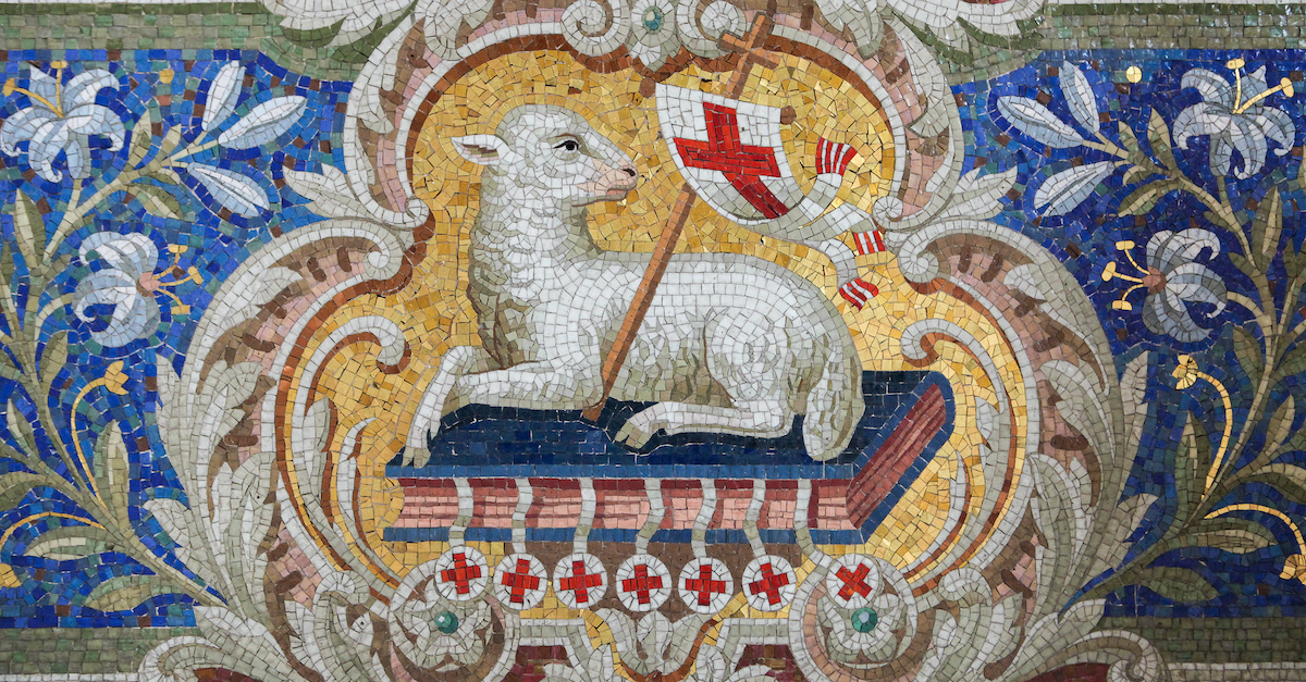 Behold The Lamb Of God John 1 29 Verse Meaning Explained