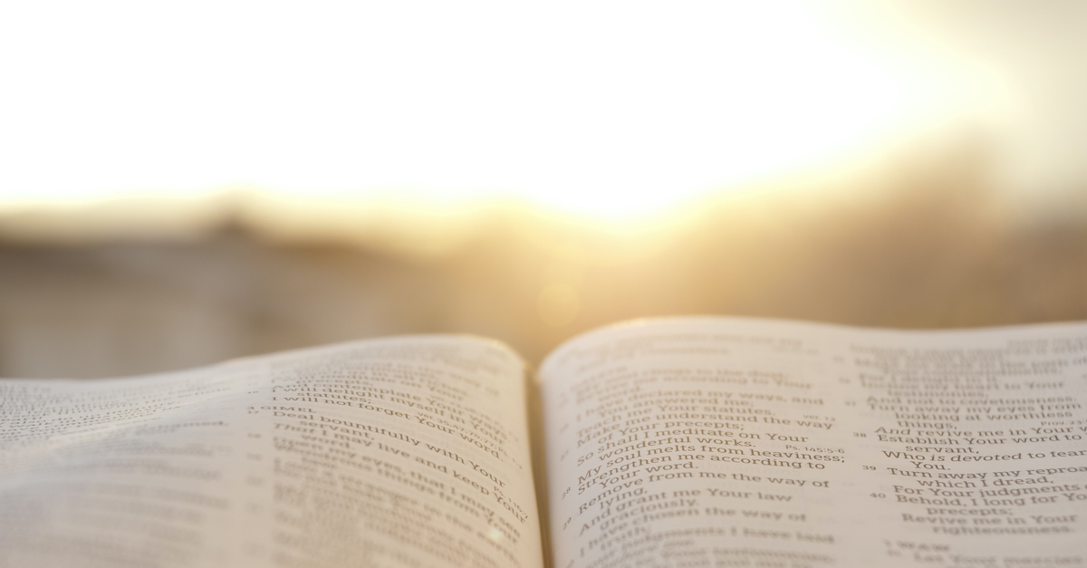What Does No Harm Shall Overcome You In Psalm 91 10 Mean For The