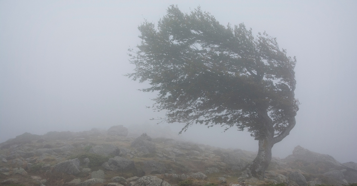 What Does it Mean to ‘Reap the Whirlwind’? (Hosea 8:7) | Christianity.com