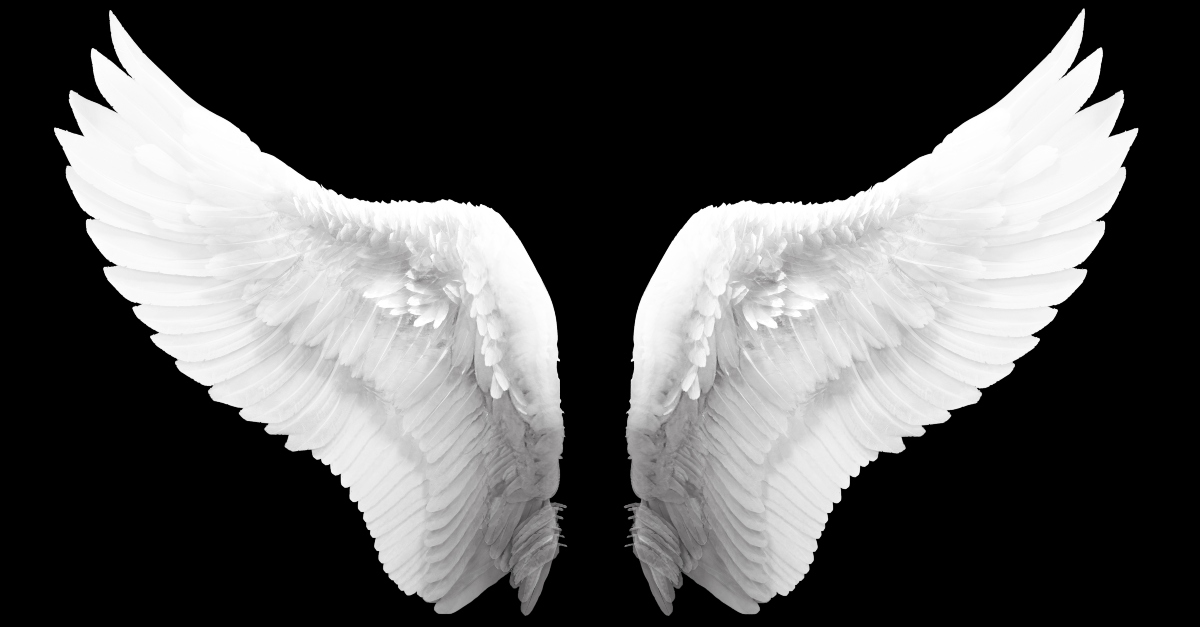What Does it Mean That We Will Have ‘Refuge Under His Wings’? (Psalm 91 ...