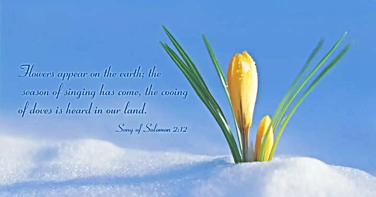 Song of Solomon 2:12 - Inspirations | Bible Study Tools