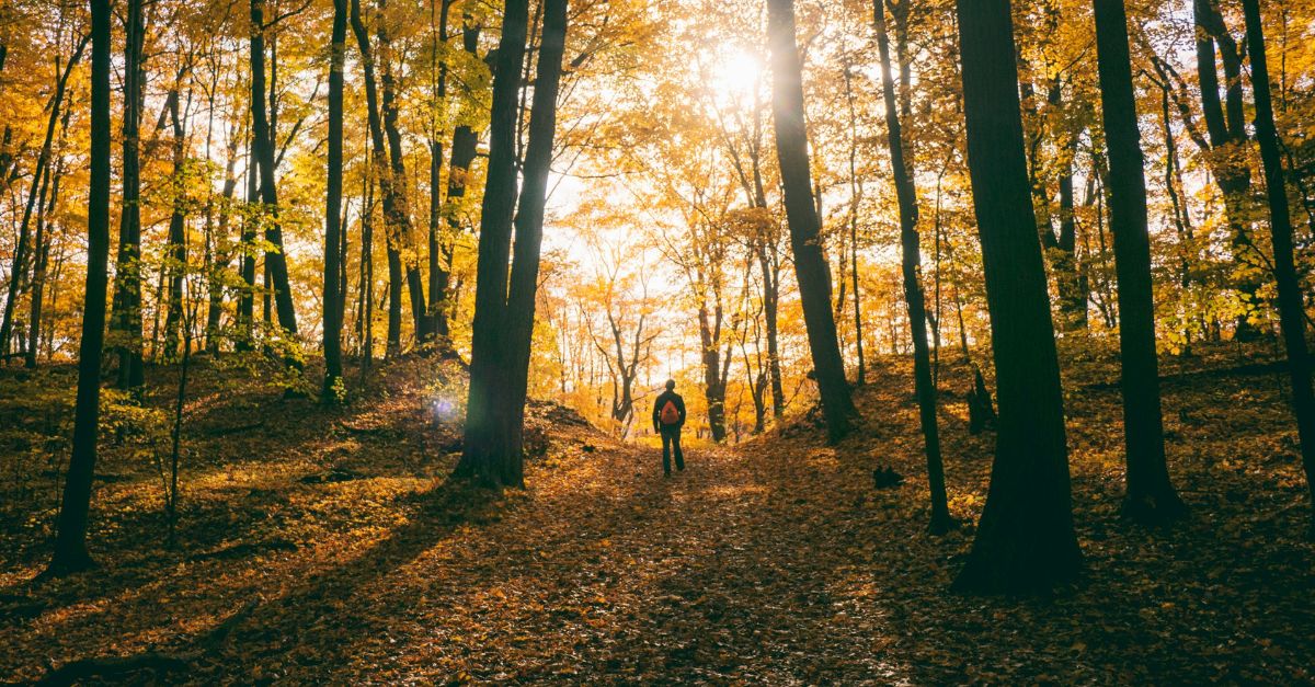 Crosswalk - Grow in Faith with Daily Christian Living Articles ...