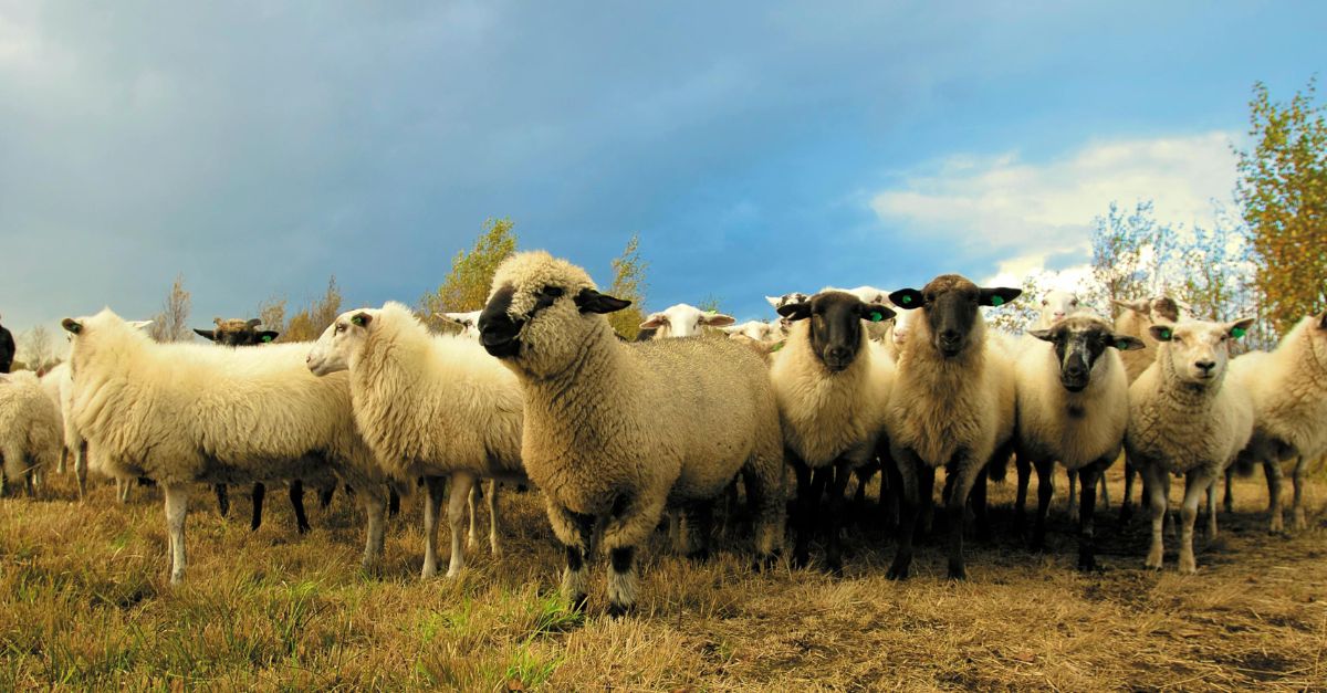 The First to Know - Greg Laurie Devotion - December 03, 2025 - Daily Devotional | Crosswalk.com