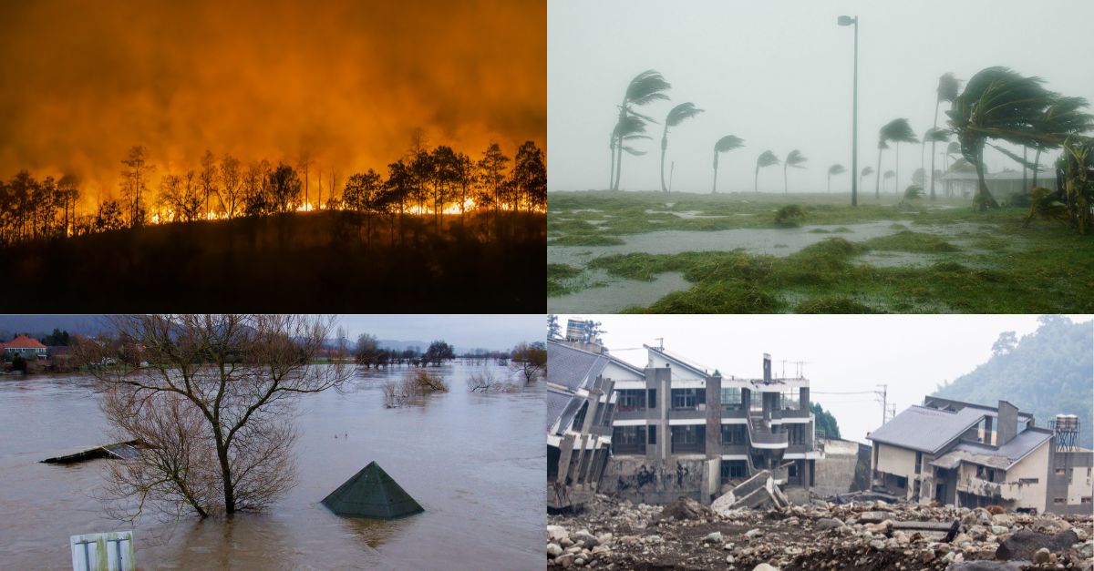 Natural Disaster Collage