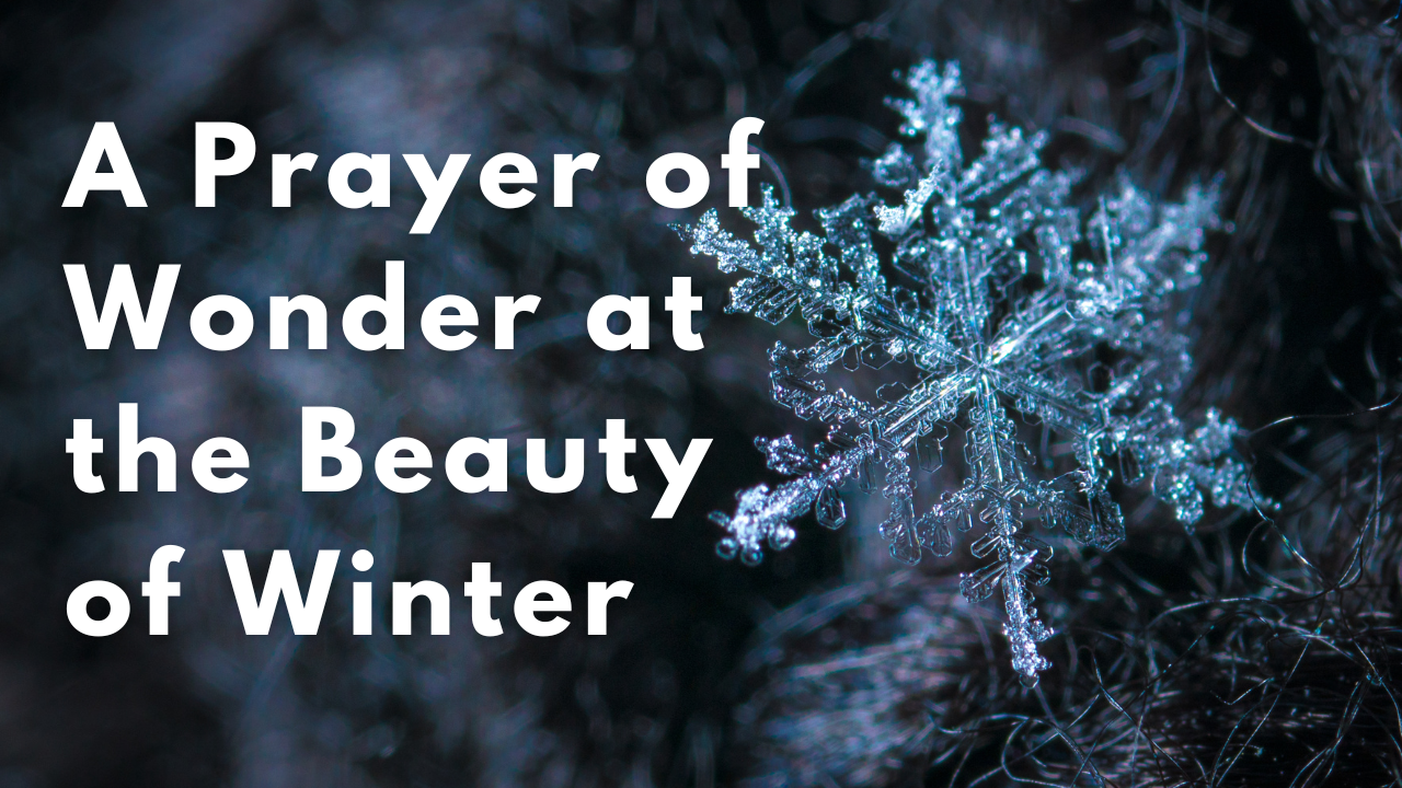 A Prayer of Wonder at the Beauty of Winter | Your Daily Prayer - Video ...