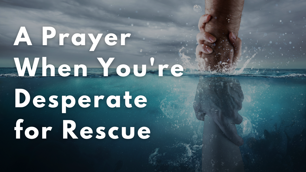 A Prayer When You're Desperate for Rescue | Your Daily Prayer ...
