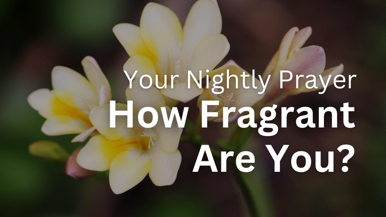 How Fragrant Are You? | Your Nightly Prayer | Christianity.com