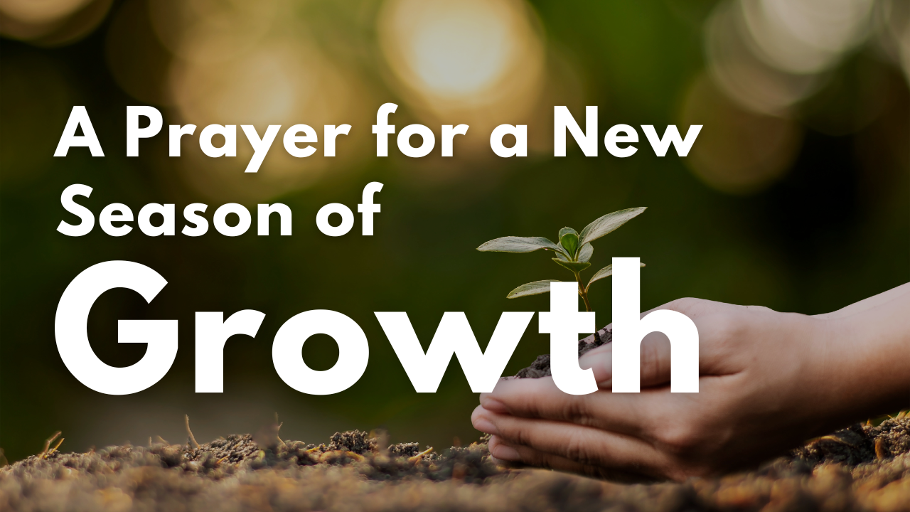 A Prayer for a New Season of Growth | Your Daily Prayer - Video ...