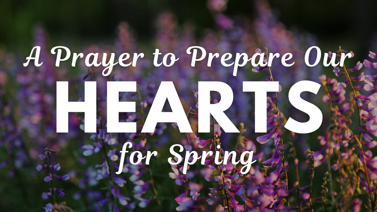 A Prayer to Prepare Our Hearts for Spring | Your Daily Prayer - Video ...