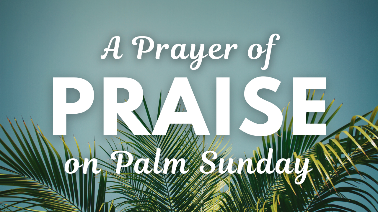 A Prayer of Praise on Palm Sunday | Your Daily Prayer - Bible Study ...