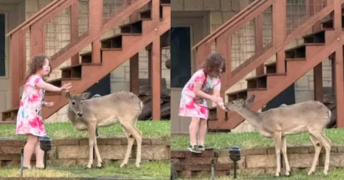 Little Girl with Autism Reminds Others of Snow White and Her Connection ...