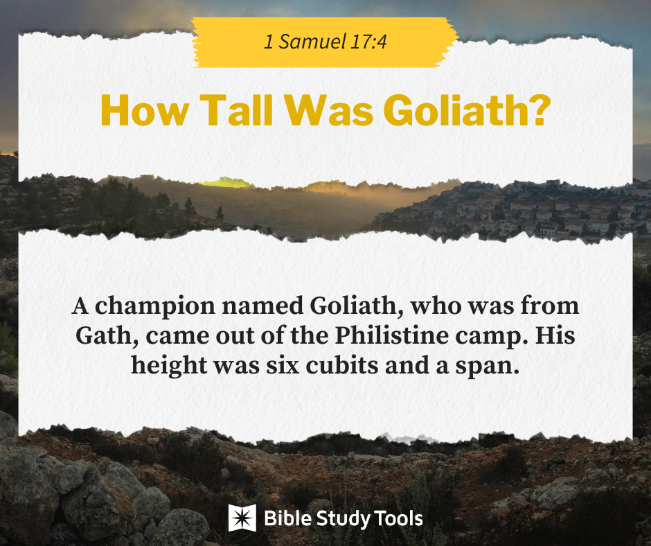 1 Samuel 17 - ESV - Bible Study Tools | Bible Study Tools