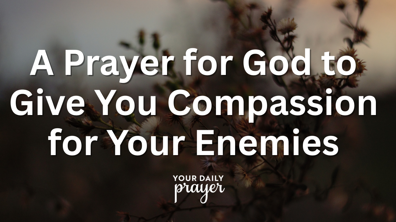 A Prayer for God to Give You Compassion for Your Enemies | Your Daily Prayer | Christianity.com