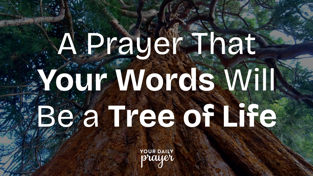 A Prayer That Your Words Will Be a Tree of Life | Your Daily Prayer ...