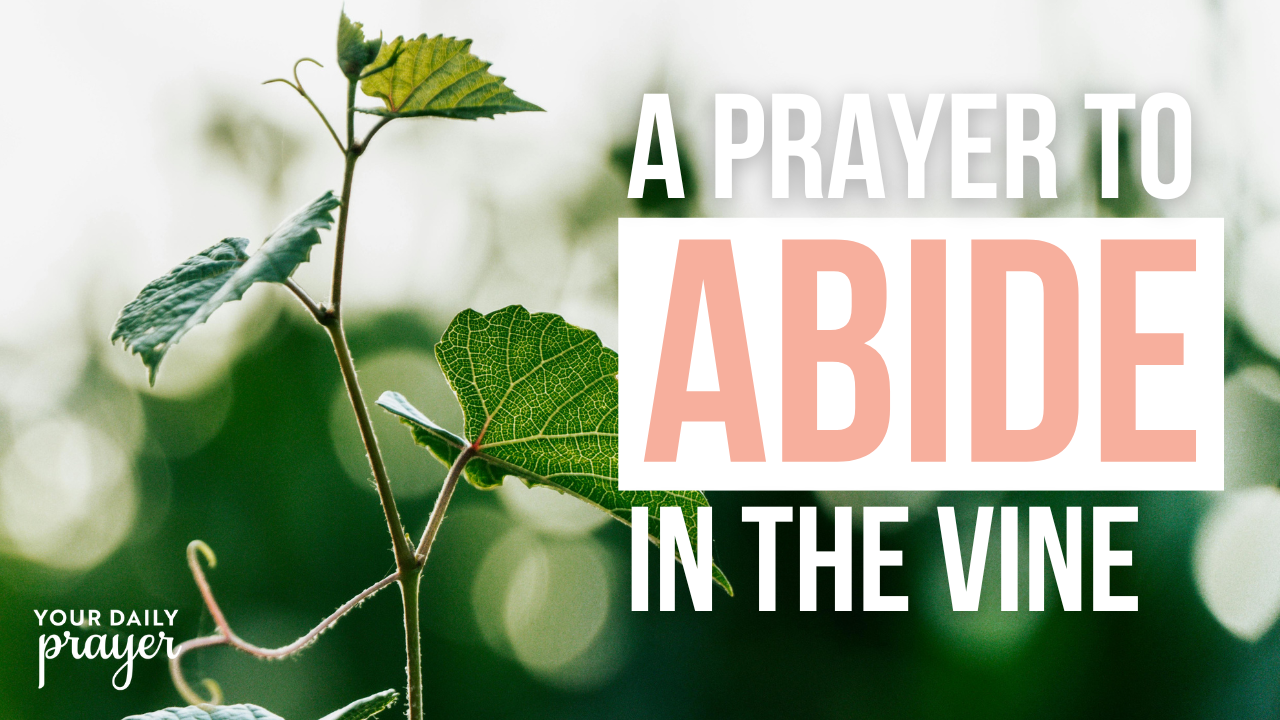 A Prayer to Abide in the Vine | Your Daily Prayer | Christianity.com