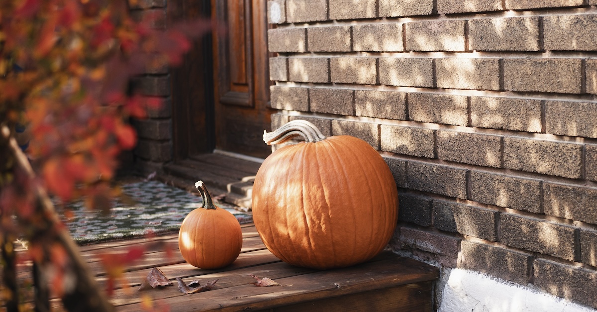 5 Ideas to Make Halloween a Blessing Instead of a Curse - Halloween ...