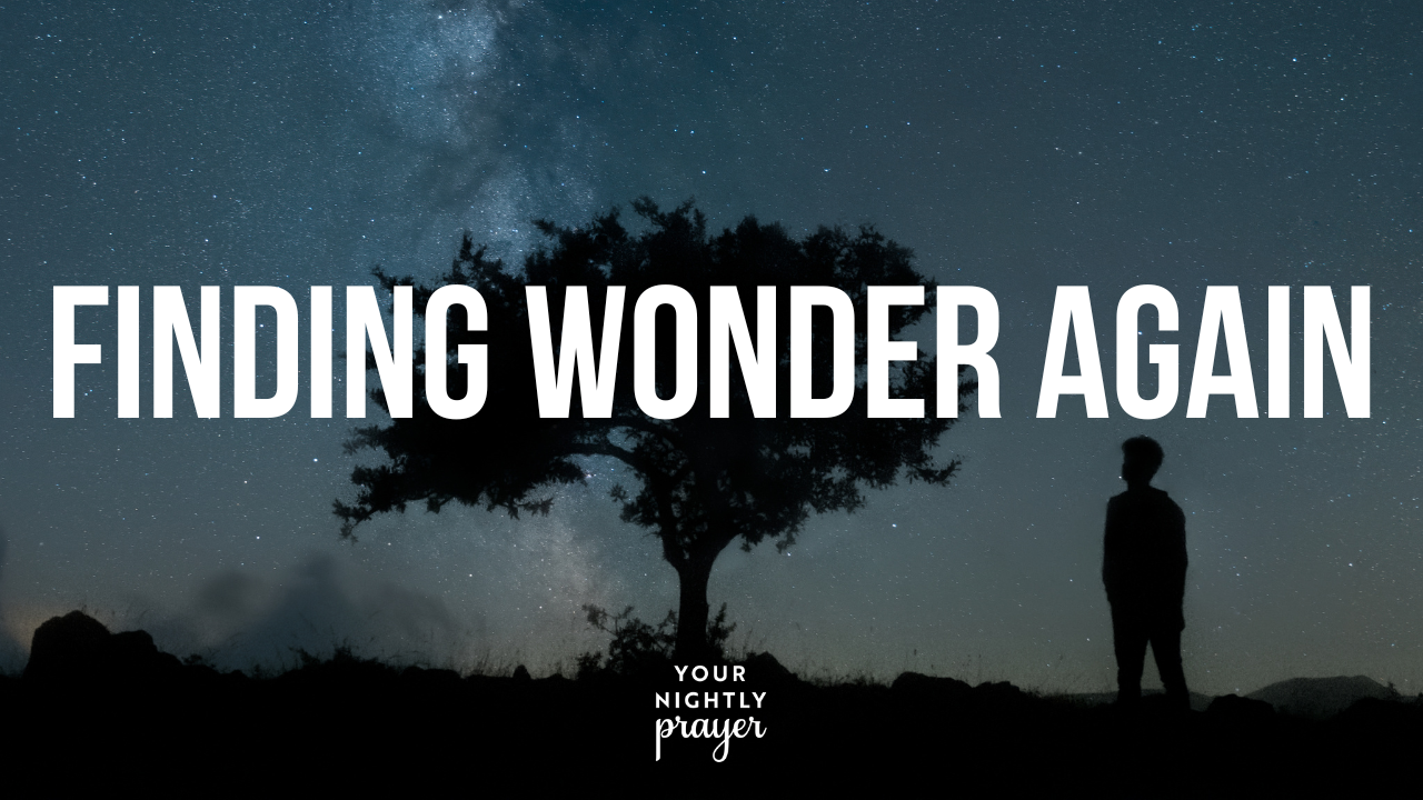 Finding Wonder Again | Your Nightly Prayer - Video | Crosswalk.com