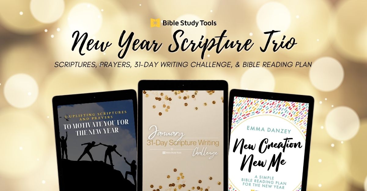 New Year Trio: Scriptures, Prayers, Writing Challenge, & Reading Plan ...