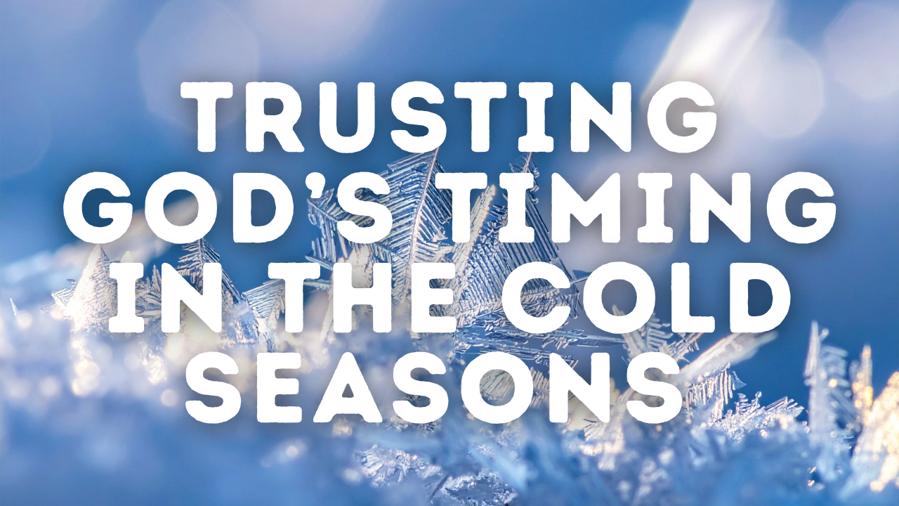 Trusting God’s Timing in the Cold Seasons | Your Nightly Prayer - Video ...
