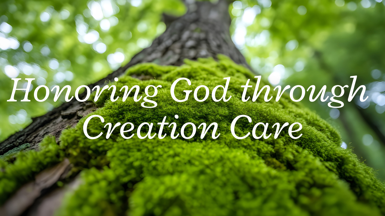 A Prayer for Honoring God through Creation Care | Your Daily Prayer ...