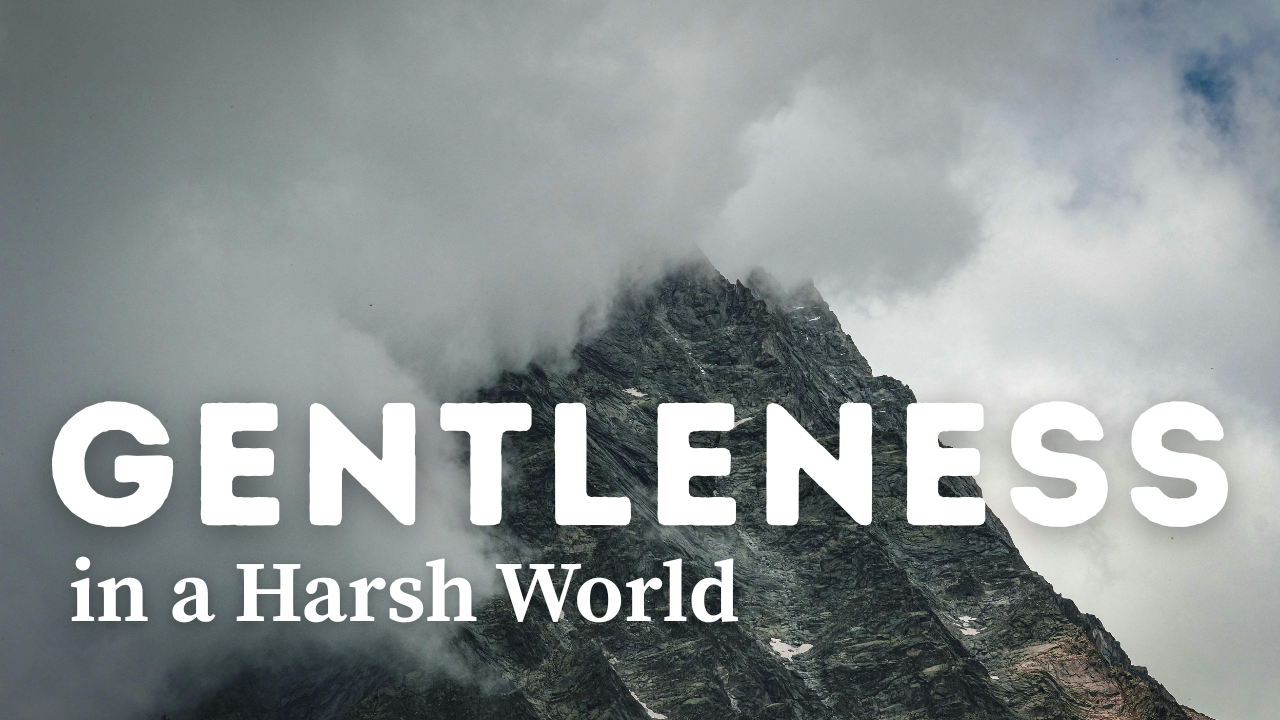 Choosing Gentleness in a Harsh World | Your Nightly Prayer - Video ...