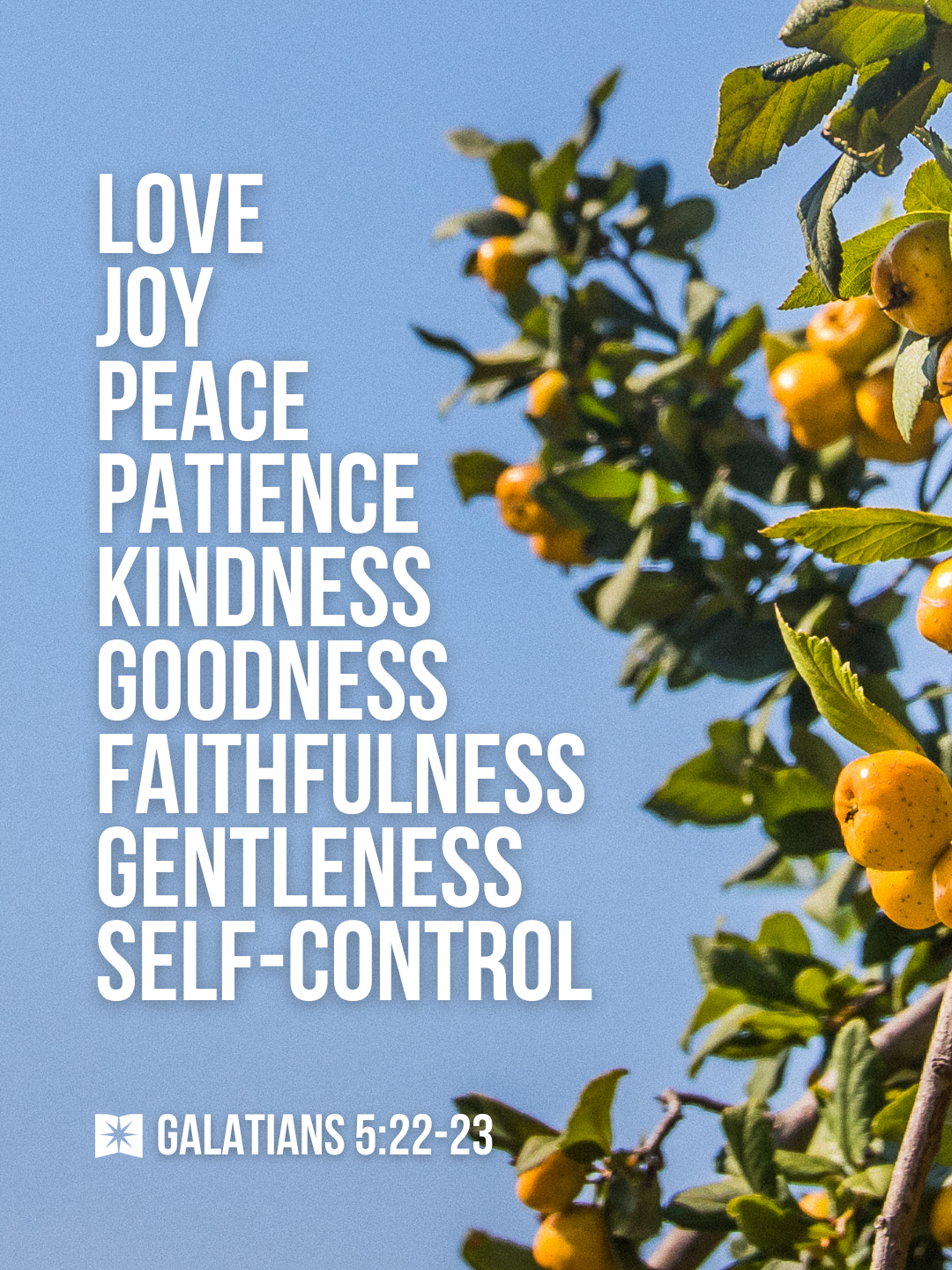 Galatians 5 KJV - "Stand fast therefore in the liberty wherewith Chri ...