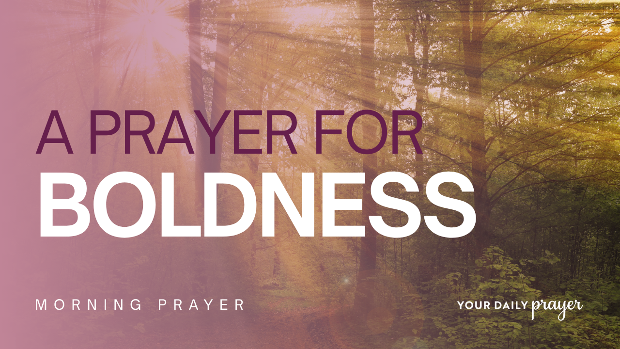 A Prayer for Boldness for the Body of Believers | Your Daily Prayer ...