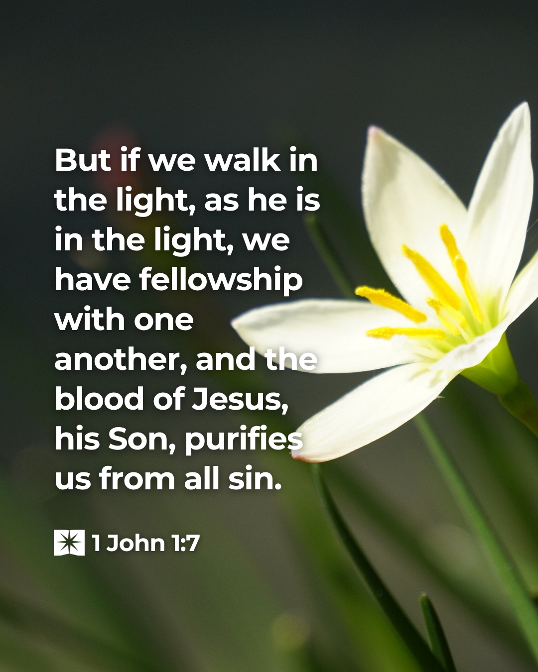 1 John 1 KJV - "That which was from the beginning, which we have h ...